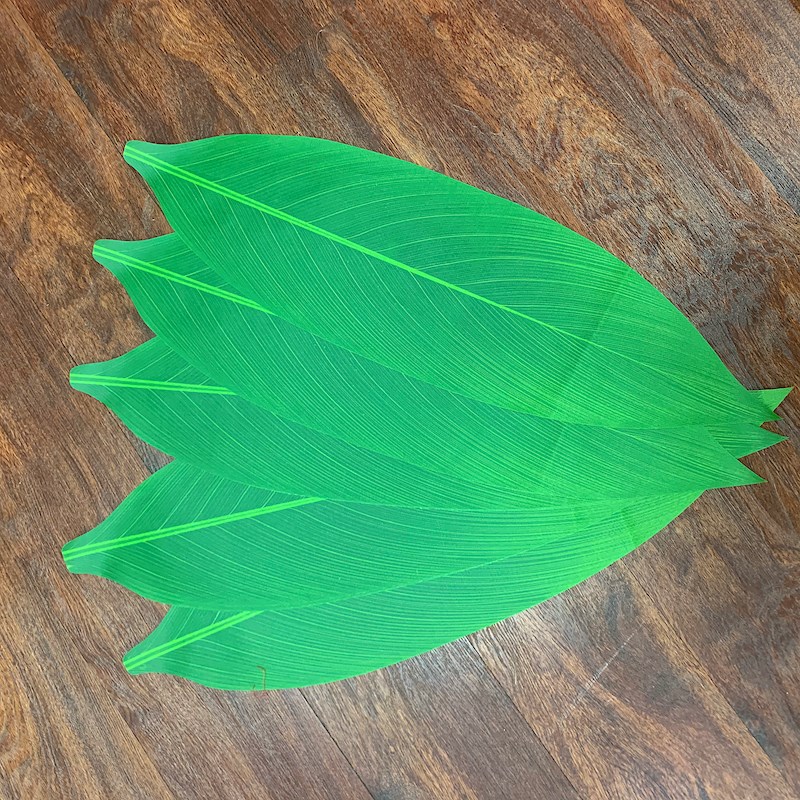 Silk Ti Leaf Package Details - Aloha Hula Supply
