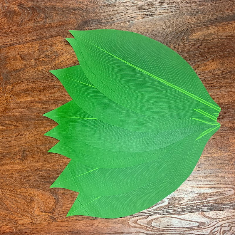 Silk Ti Leaf Package Details - Aloha Hula Supply