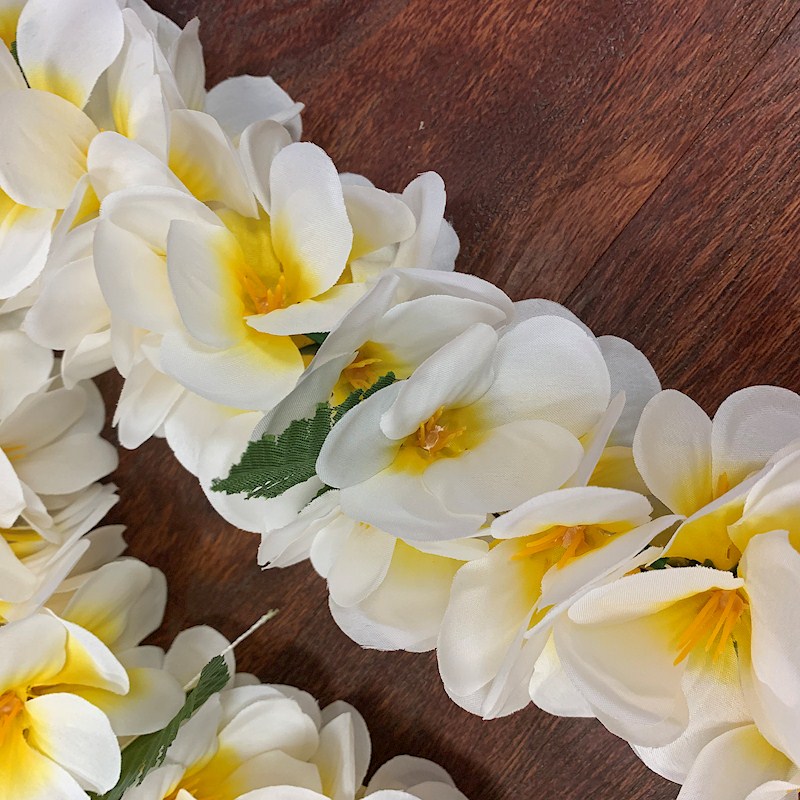Double Plumeria Lei Details - Aloha Hula Supply