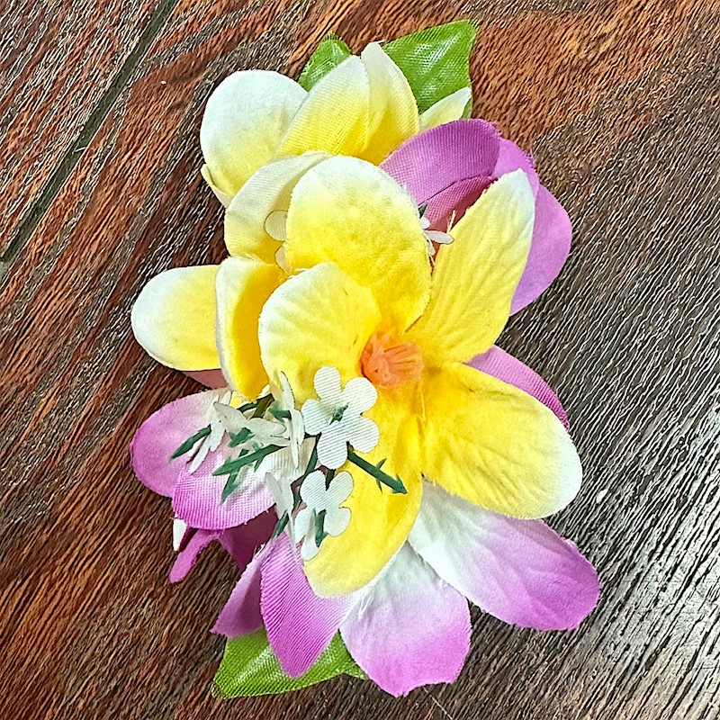 Nani Clip Details - Aloha Hula Supply