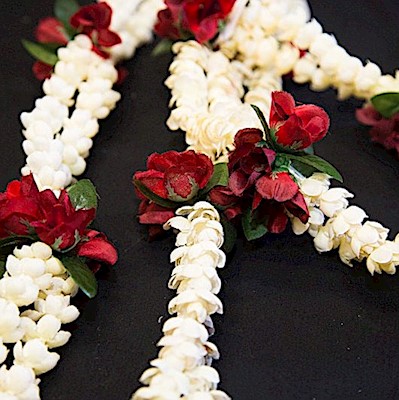 Double Strand Pikake Lei w/ Rose Details - Aloha Hula Supply