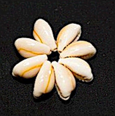 Aloha Hula Supply - Hawaii,Tahitian,Maori,Flowers